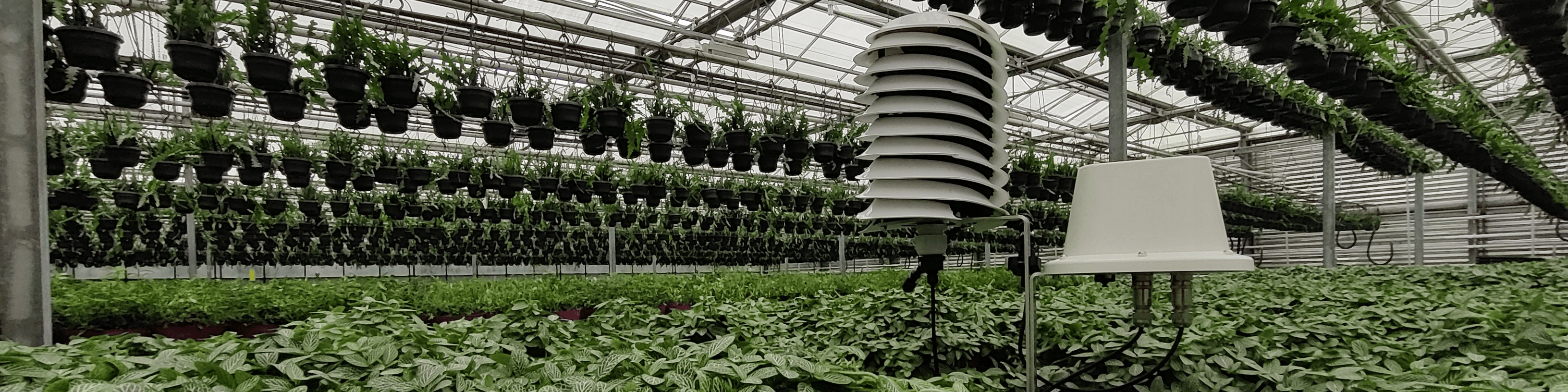 3 tips for setting up a valuable PAR dashboard - 30MHz30MHz