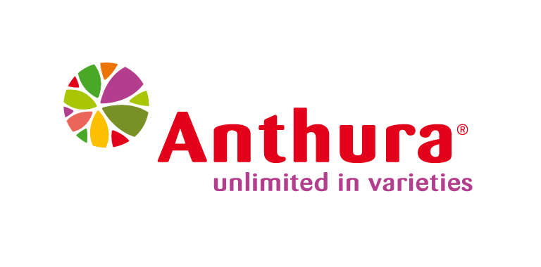 Anthura - 30MHz30MHz