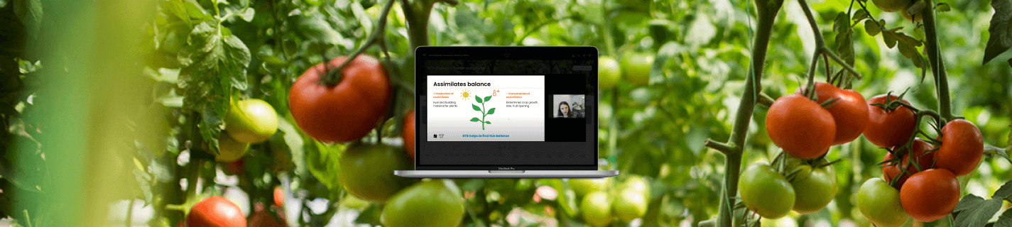 Hoogtepunten webinar RTR - 30MHz30MHz