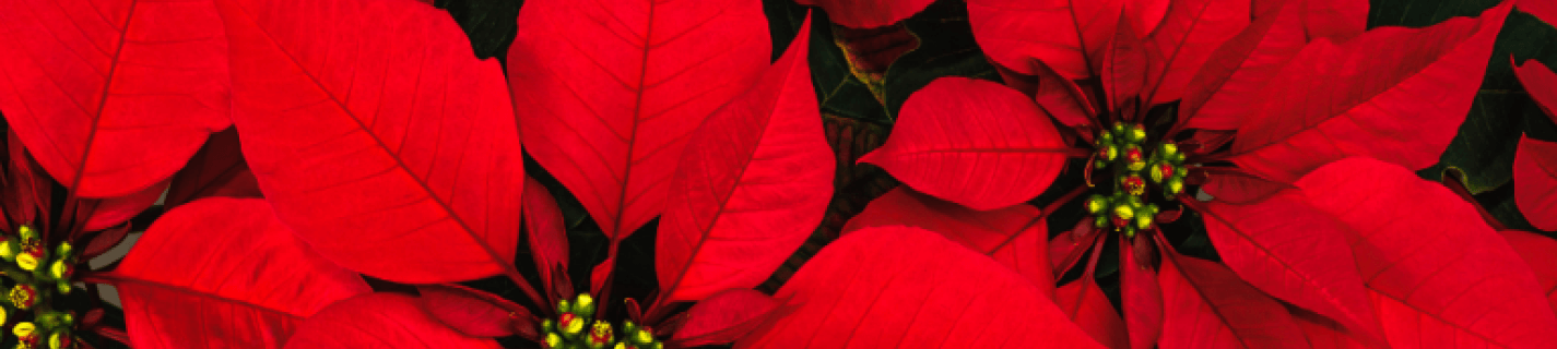 3 New Platform Features 30mhz30mhz