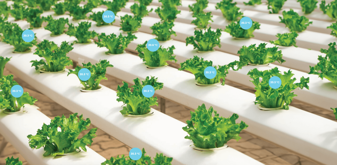 3 practical tips for plant data - 30MHz30MHz